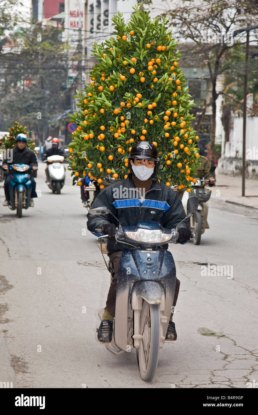 Motorcycle at New Year, Hanoi, Vietnam Stock Photo - Alamy