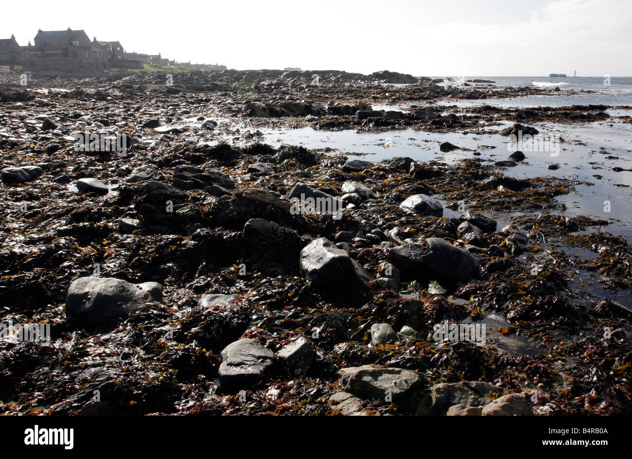 Inverallochy hi-res stock photography and images - Alamy