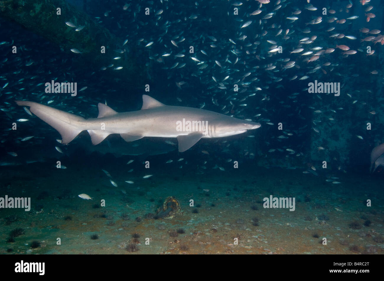 Submerged deck hi-res stock photography and images - Alamy