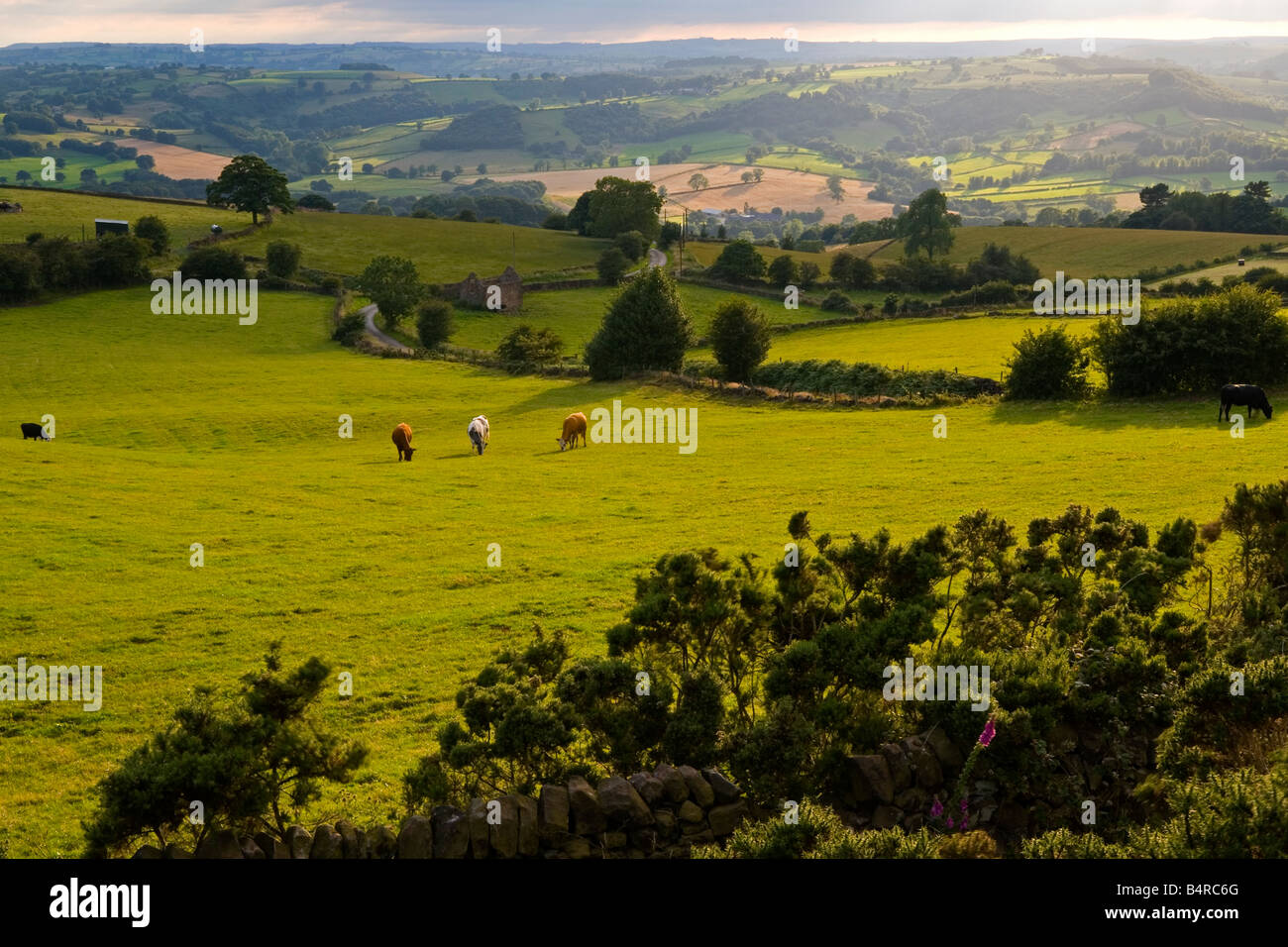 Alport heights hi-res stock photography and images - Alamy