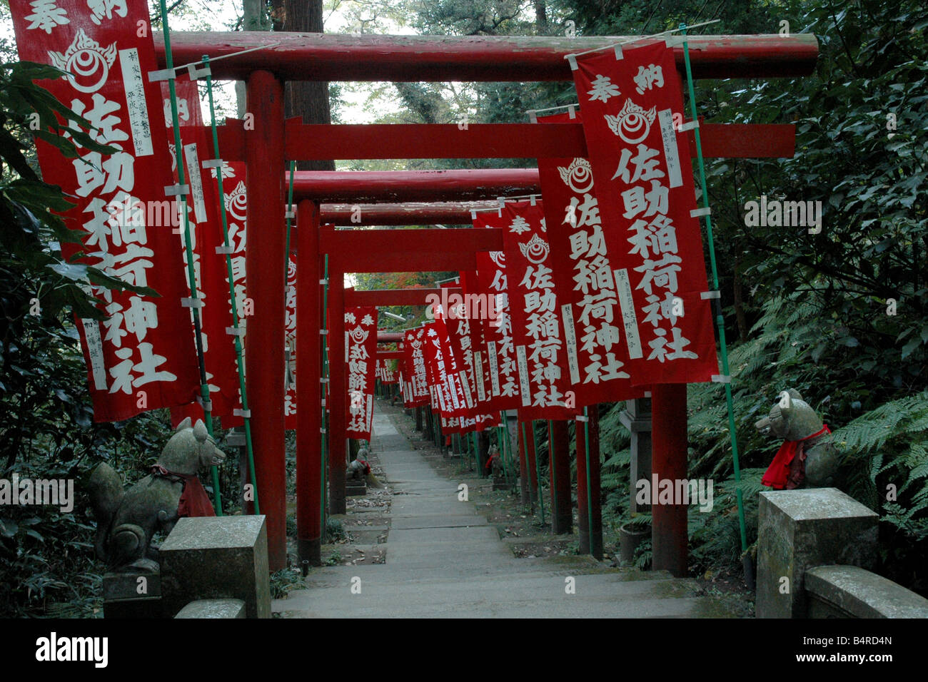 Sasuke inari shrine hi-res stock photography and images - Alamy