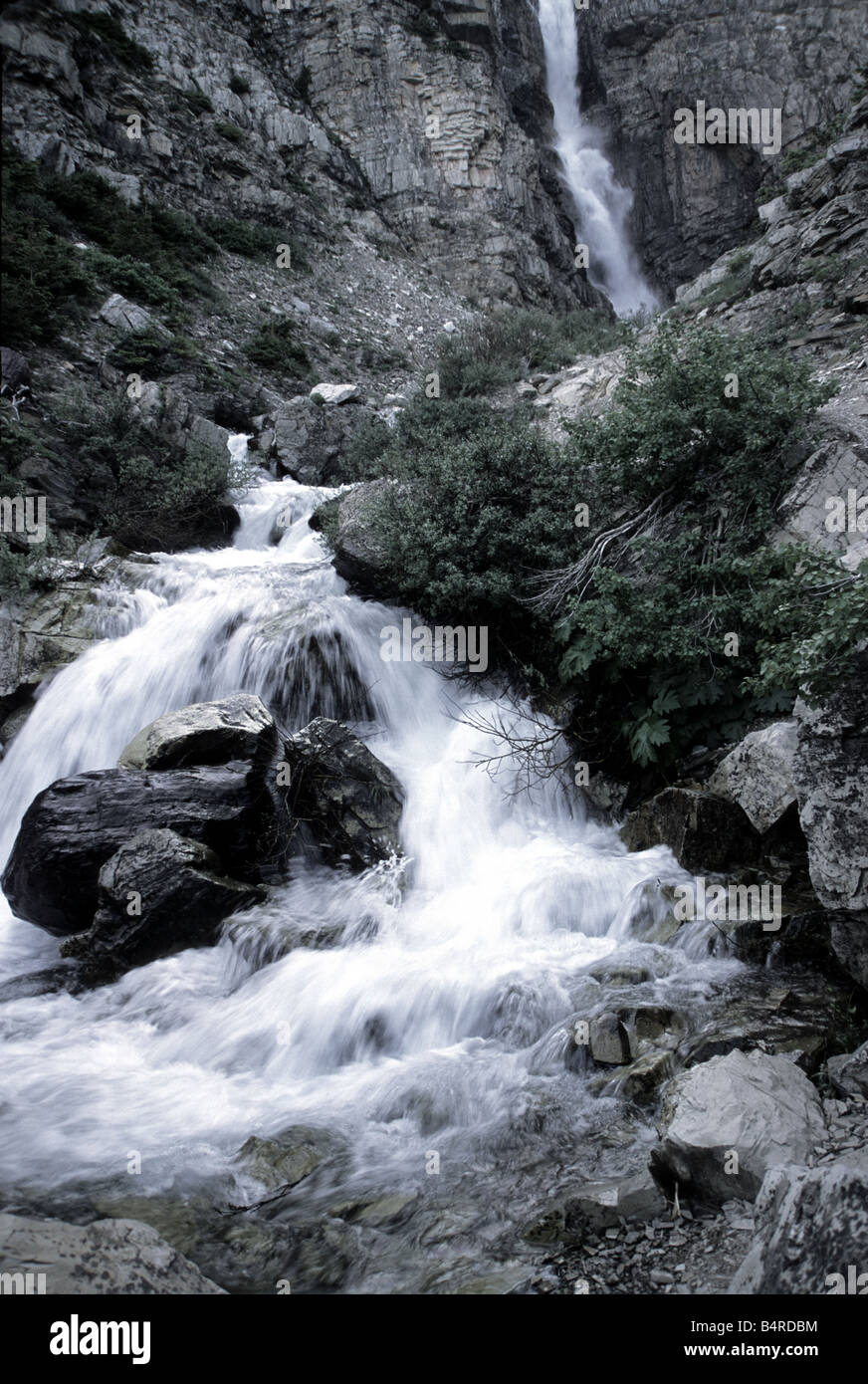 Apikuni Falls, Many Glacier, Glacier National Park, Montana, USA, North ...