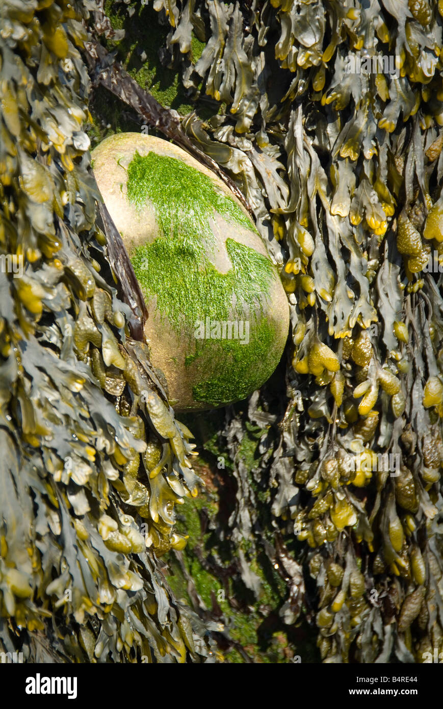 Wave breaker stone hi-res stock photography and images - Alamy