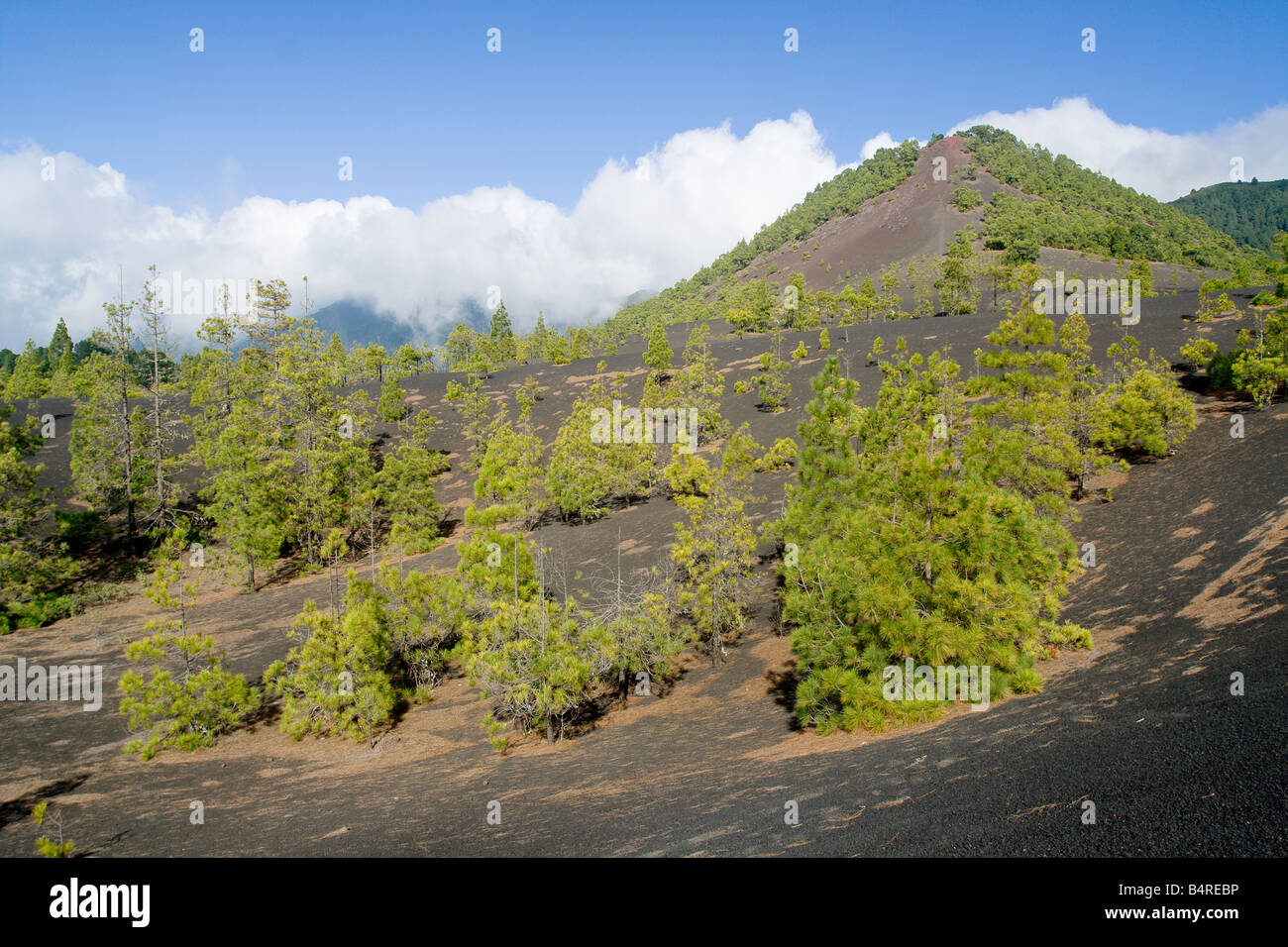 A black volcanic landscape with a volcano in the background Stock Photo ...