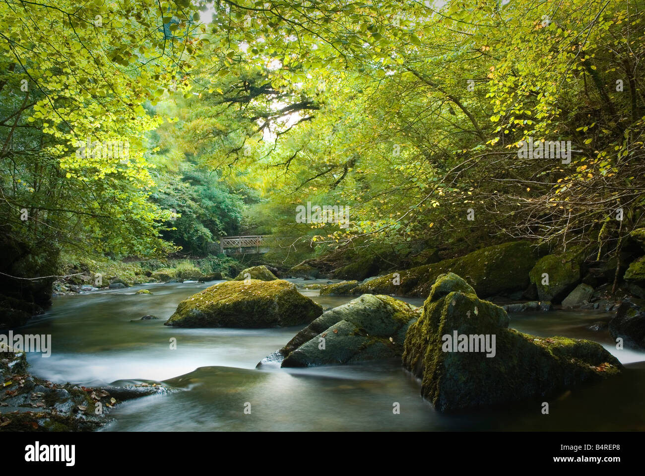 trees overhanging slow river with rocks Stock Photo - Alamy