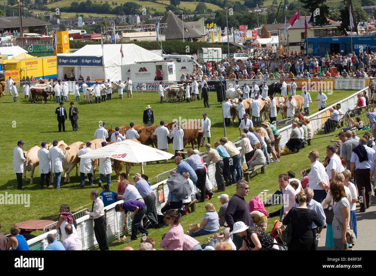 Royal welsh show hi-res stock photography and images - Alamy
