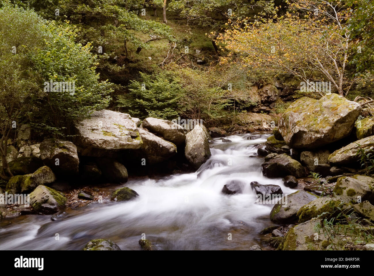 Overhanging the river hi-res stock photography and images - Alamy