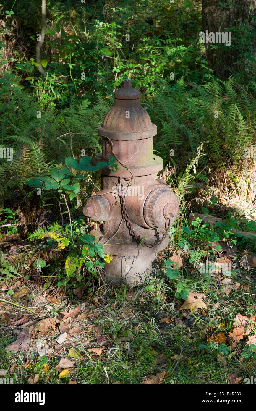Old fire hydrant hi-res stock photography and images - Alamy