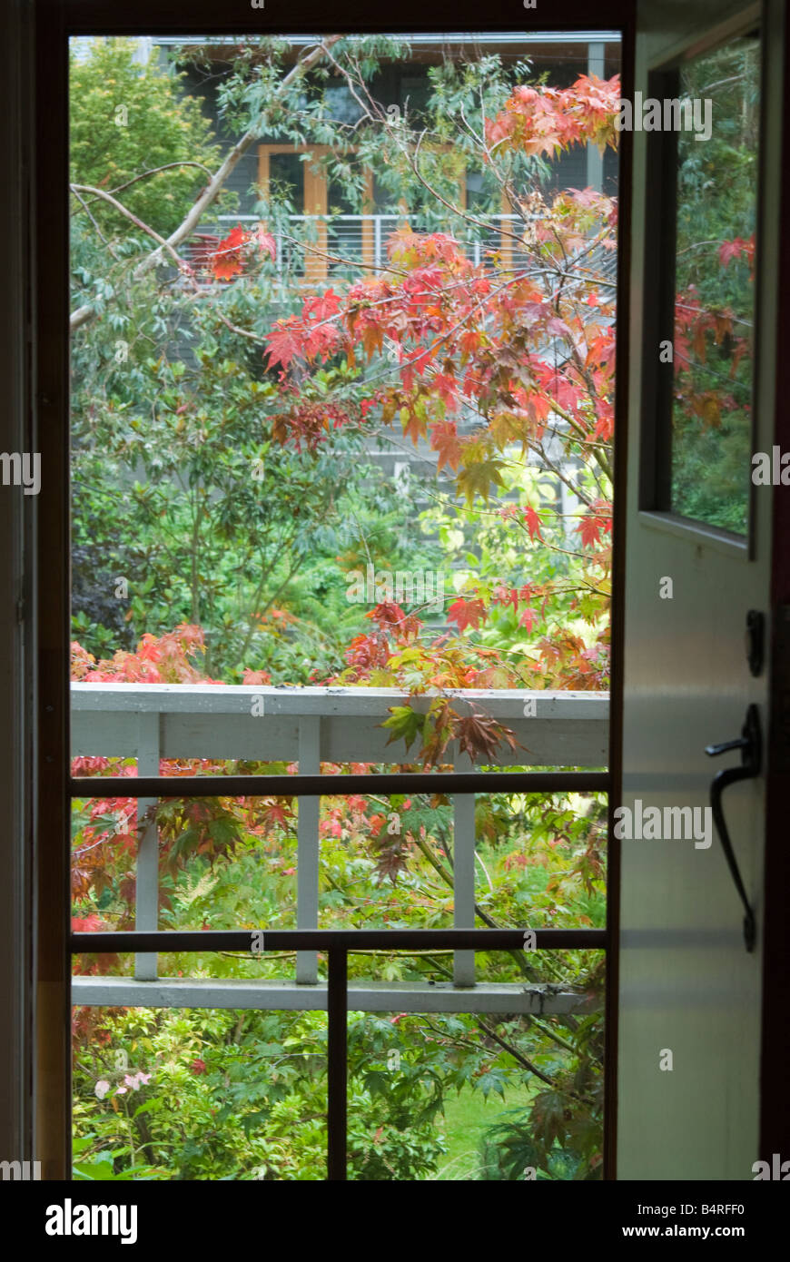 open door to fall leaves changing color Stock Photo - Alamy