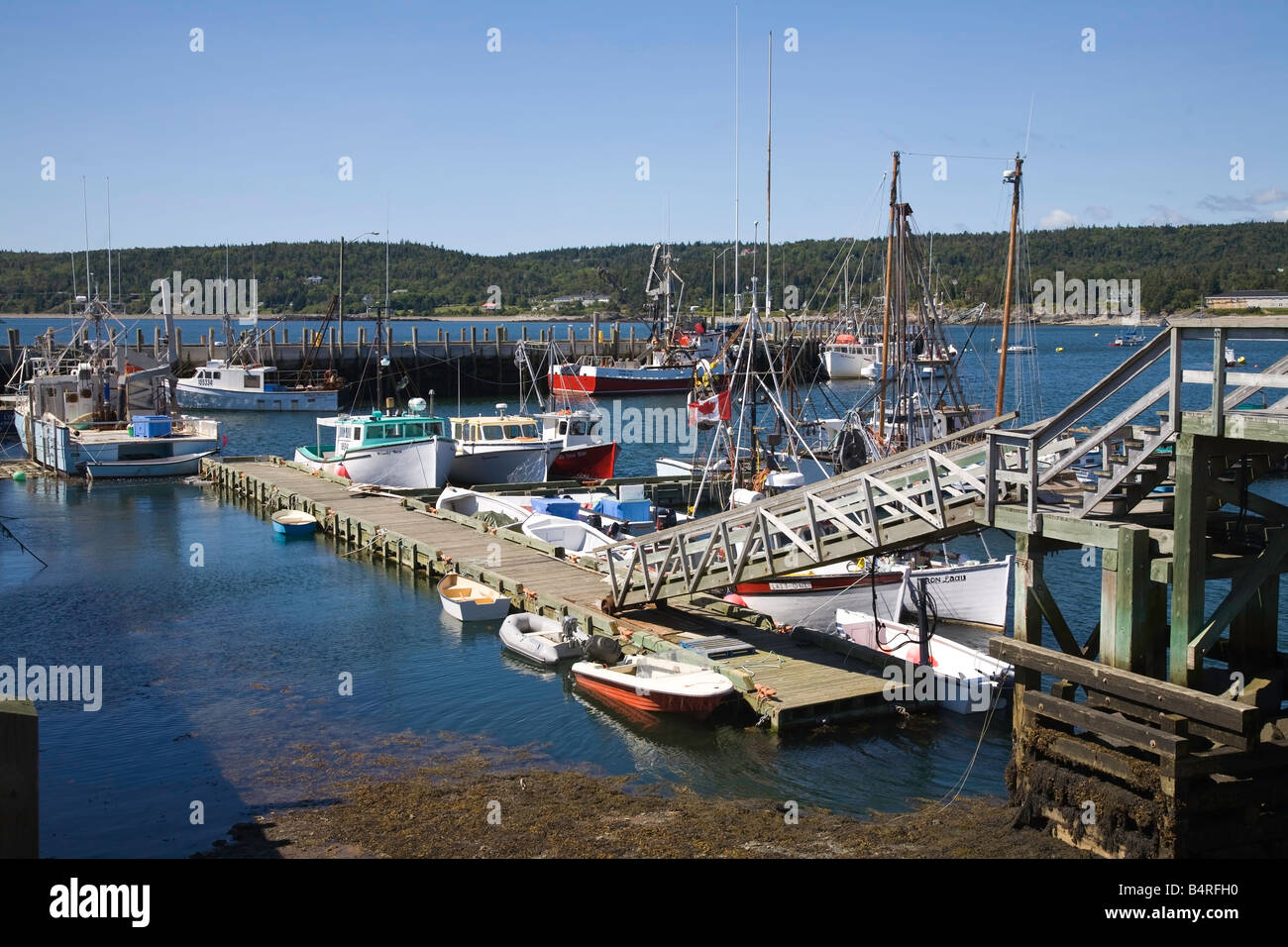 Grand Manan Island in the Bay of Fundy, is a small island of the coast of New Brunswick on ...
