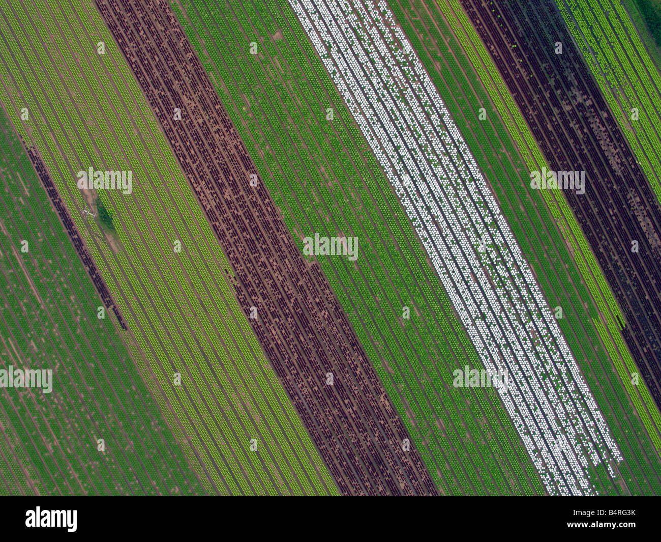 aerial view of fields Stock Photo - Alamy