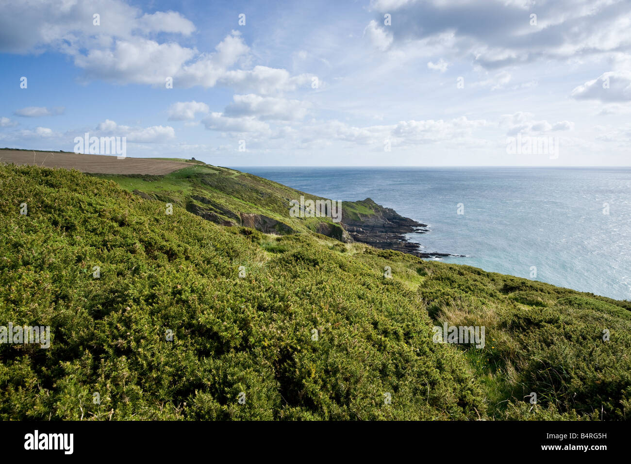 The view from a "cliff walk" South Devon, UK Stock Photo - Alamy