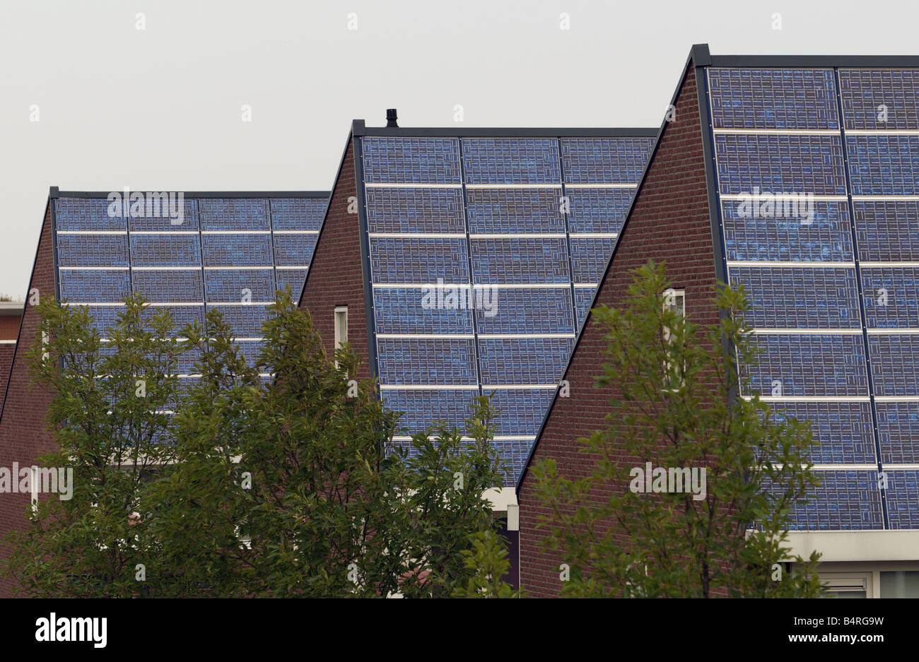 Shell solar panels fitted to houses on the world's largest solar ...