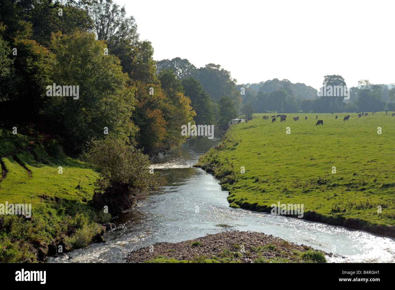 River ottery hi-res stock photography and images - Alamy