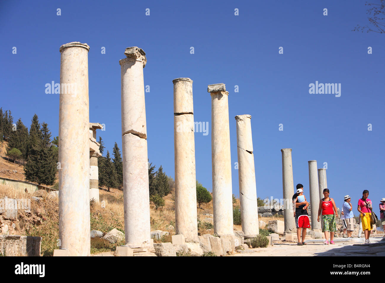 Column at Ephesus, phesos, Efes, Turkey Stock Photo - Alamy