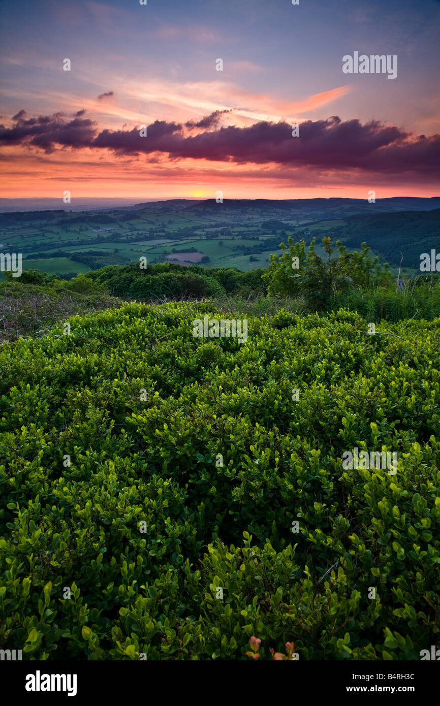 Sunset at Sutton Bank, North Yorkshire Stock Photo - Alamy