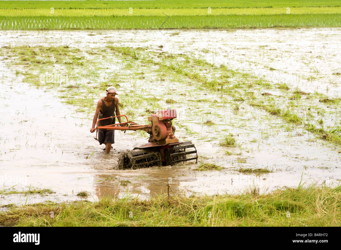 Farmer plowing rice field tractor hi-res stock photography and images ...