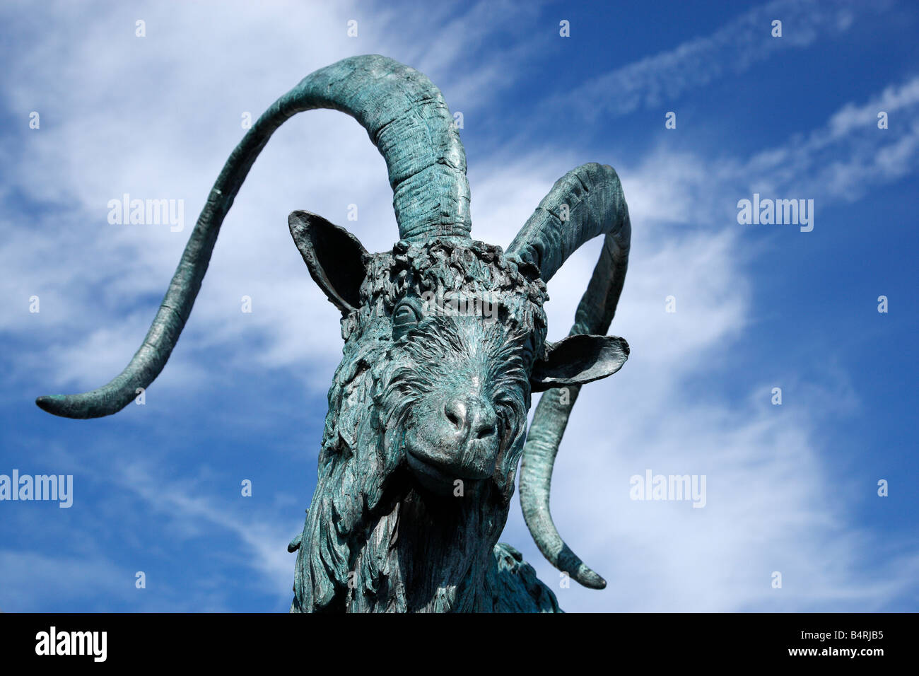 Goat wales uk hi-res stock photography and images - Alamy