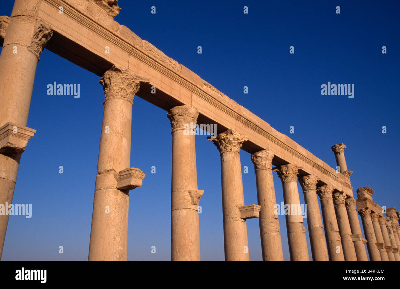 Roman columns along the Great Colonnade, Palmyra, Syria Stock Photo - Alamy
