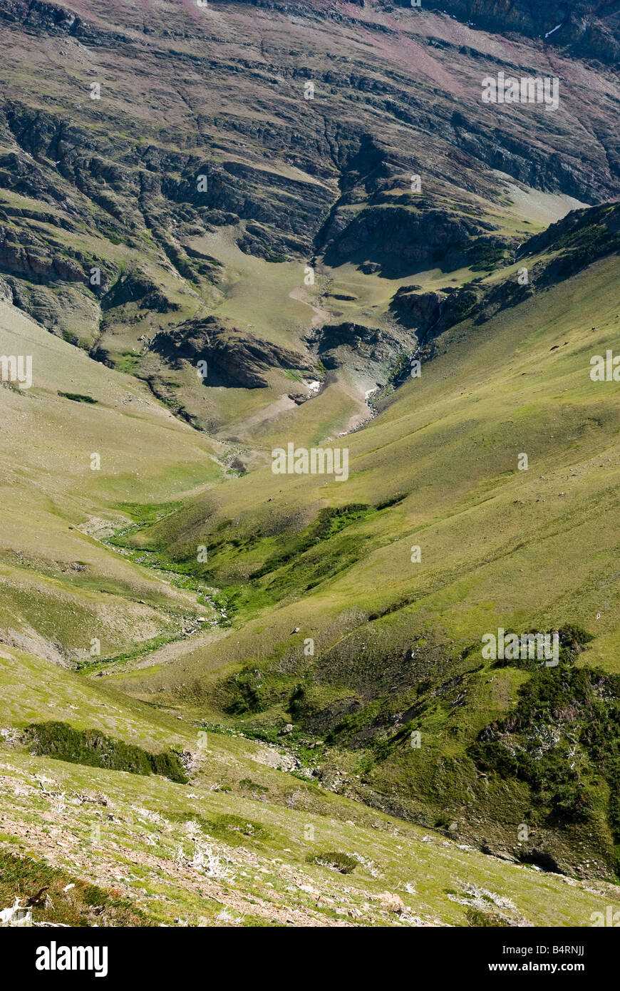Meandering stream through alpine region of Glacier National Park ...