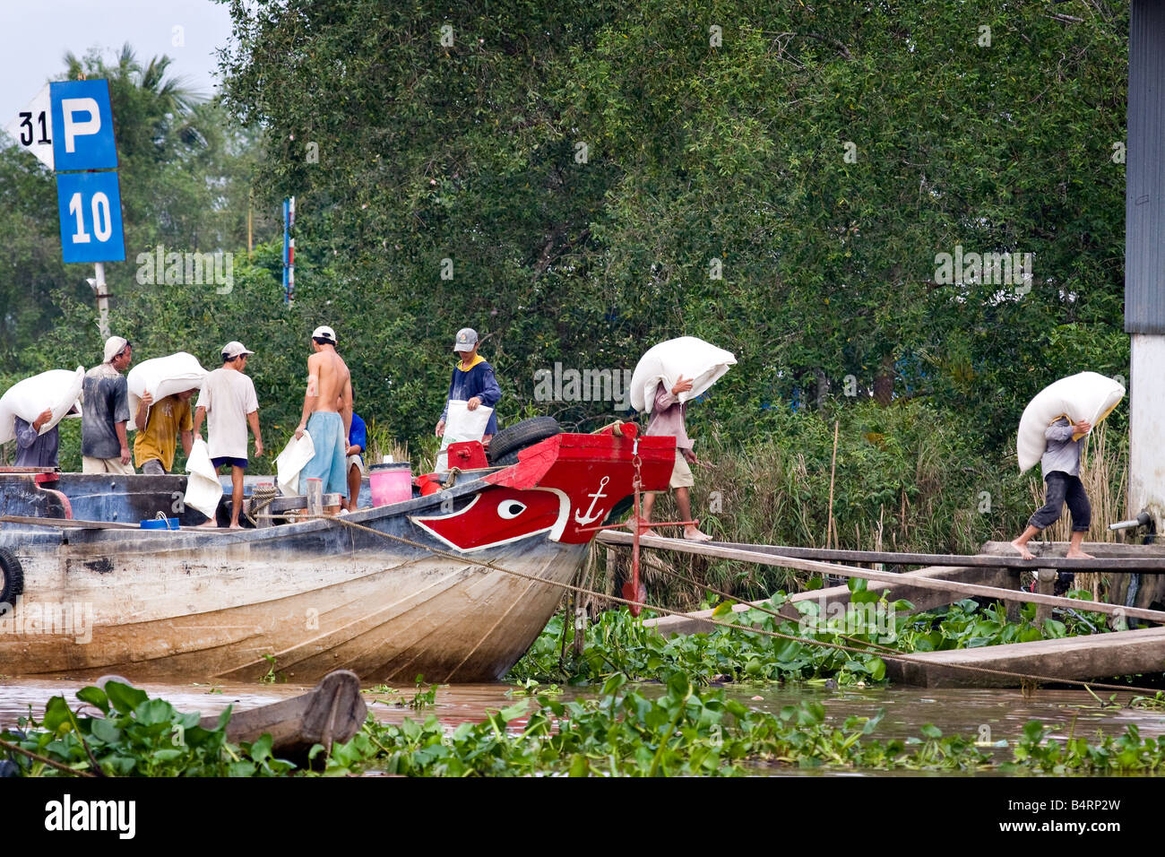 Transporting rice hi-res stock photography and images - Alamy