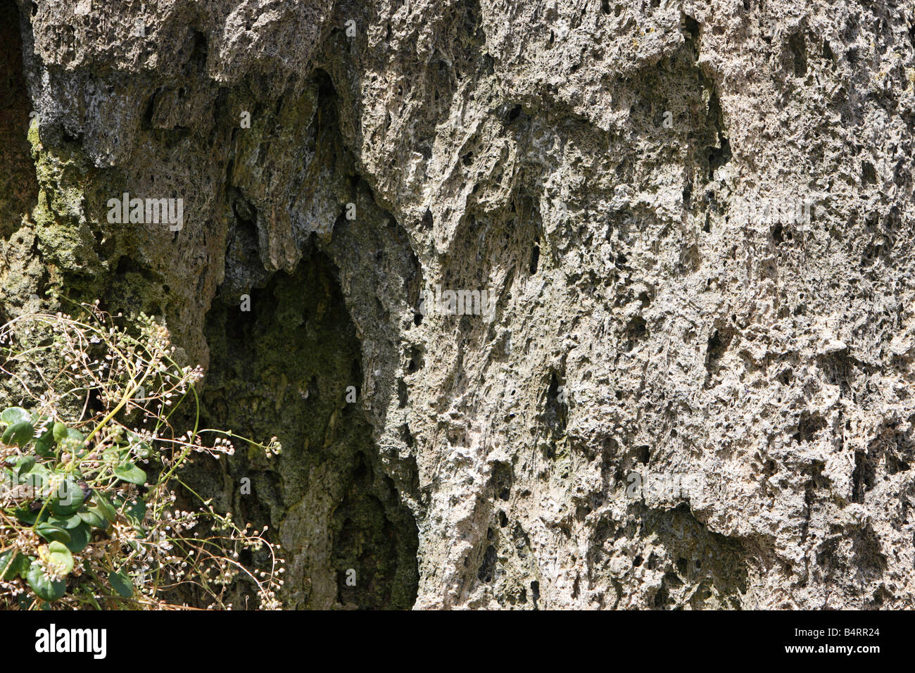 Pitted rock hi-res stock photography and images - Alamy