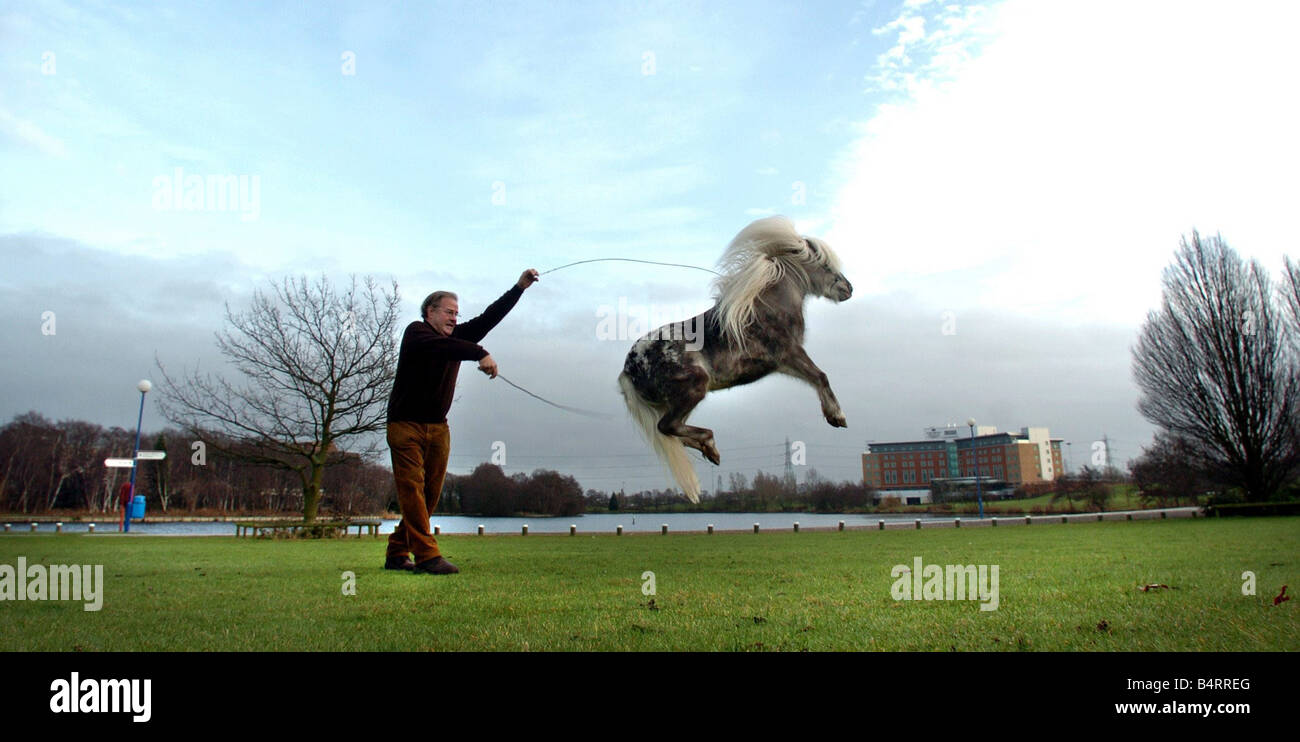 Trainer Wetehof Hermann with his thirteen year old shetland pony Lady ...
