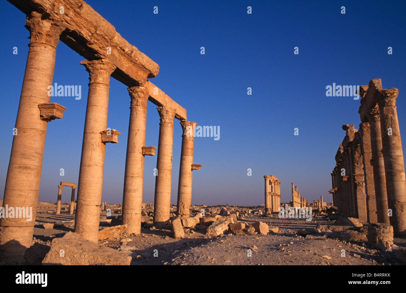 Roman columns along the Great Colonnade, Palmyra, Syria Stock Photo - Alamy