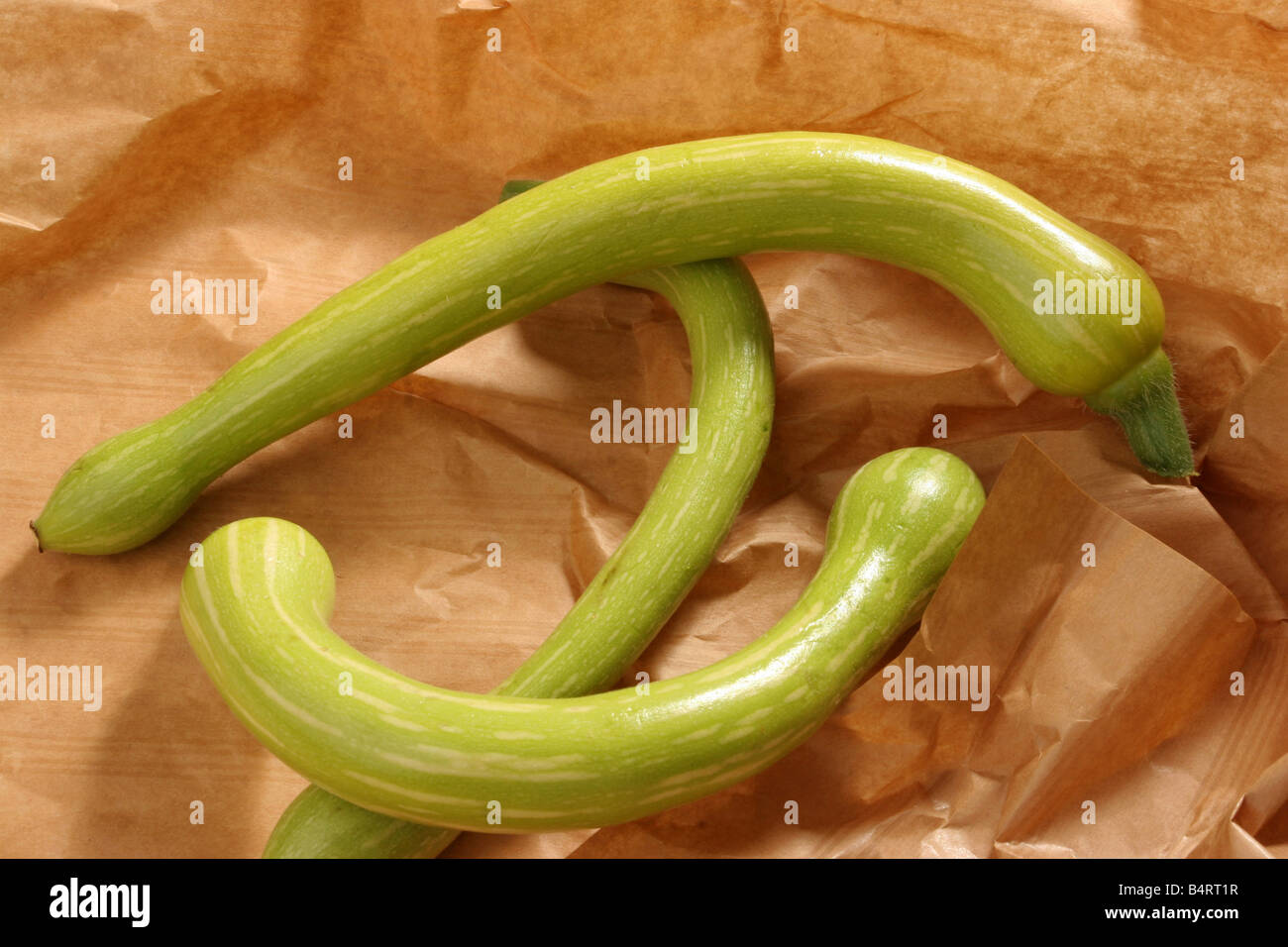 Trombetta courgettes Italy Stock Photo - Alamy