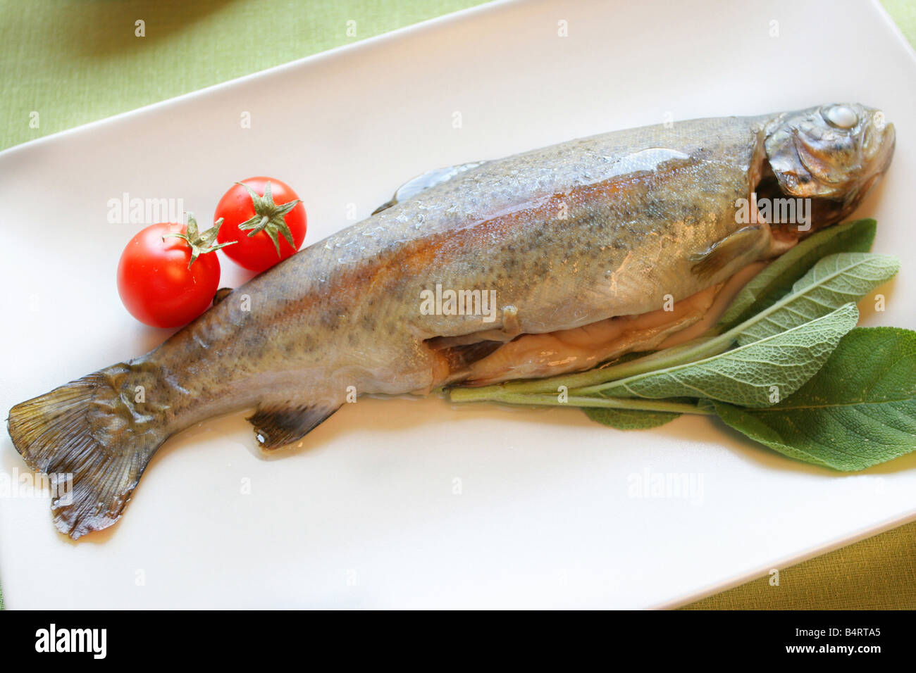 Trout Italy Stock Photo - Alamy