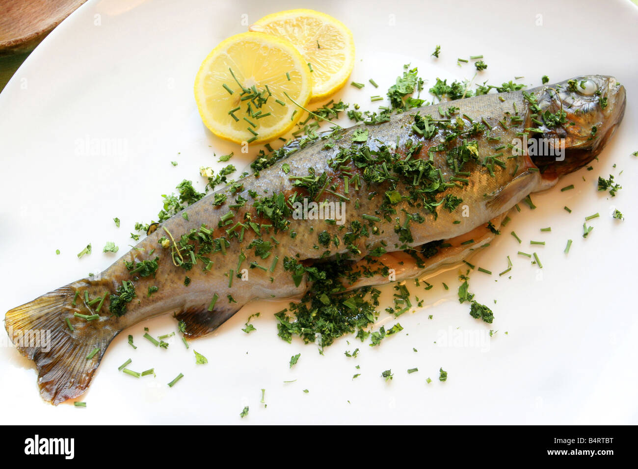Trout Italy Stock Photo - Alamy