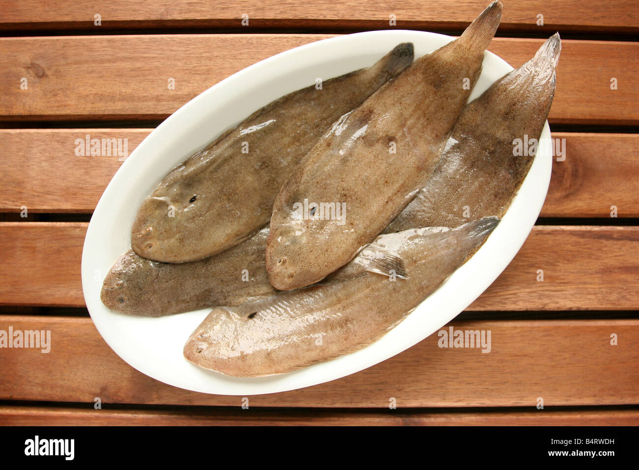 Tongue-fishes Italy Stock Photo - Alamy