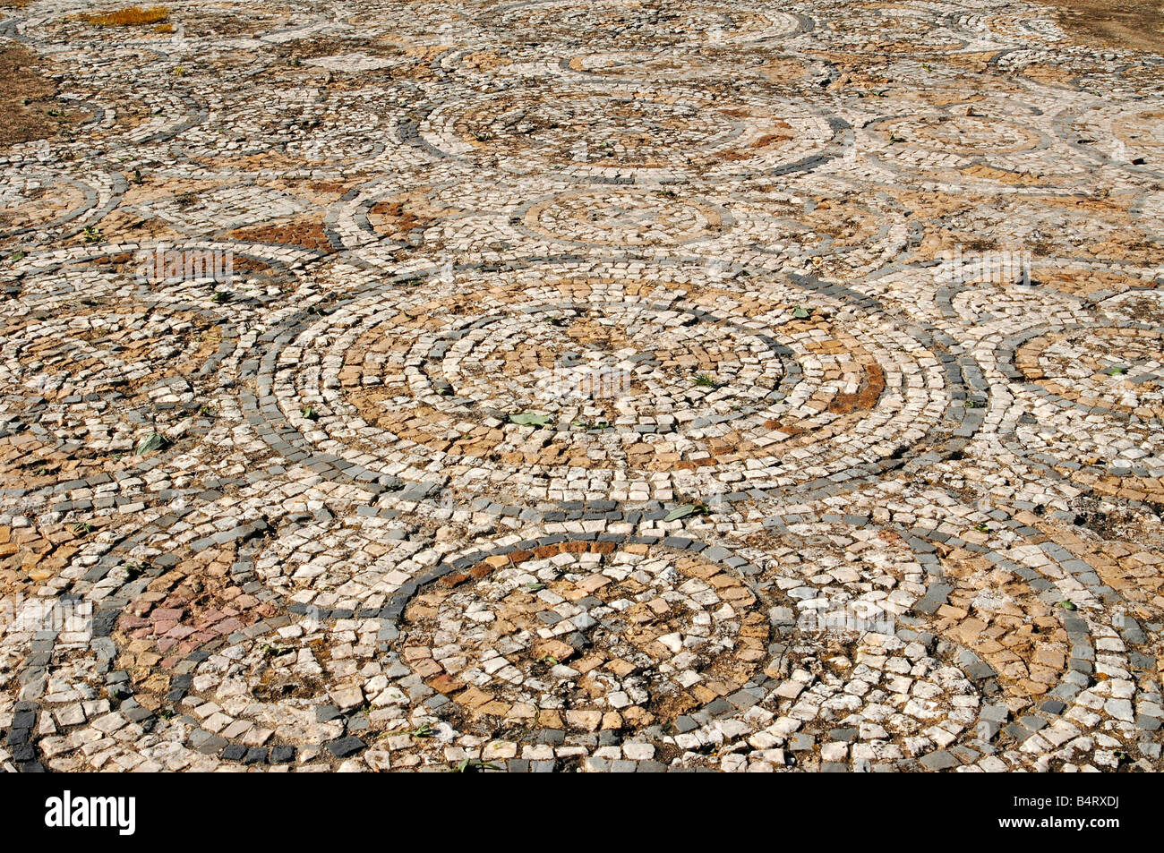 Mosaic floor Nora Roman ruins Pula Sardinia Italy Stock Photo - Alamy