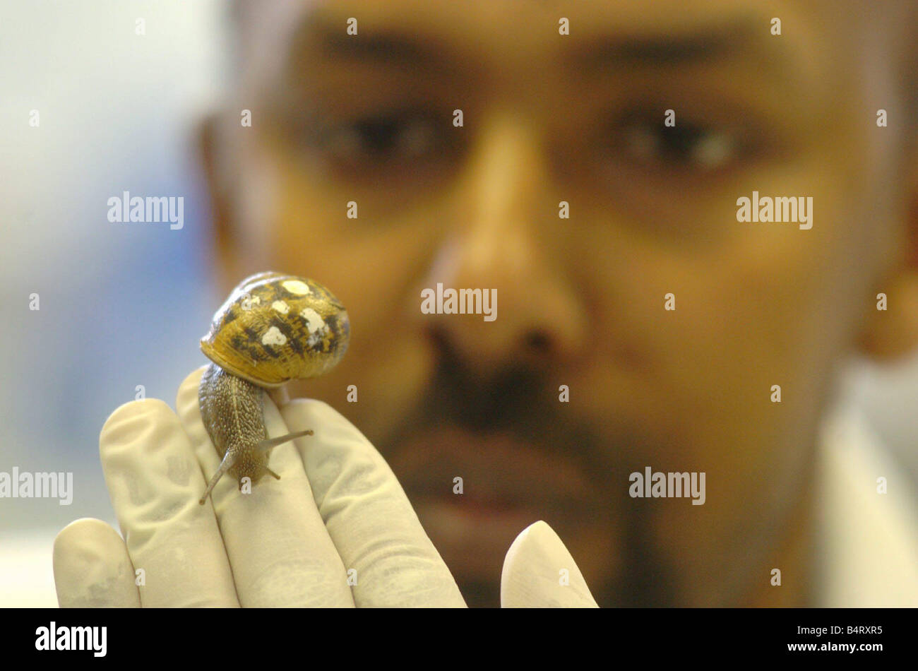 Ahmed Ali a researcher at the Bio Sciences laboratories of the ...