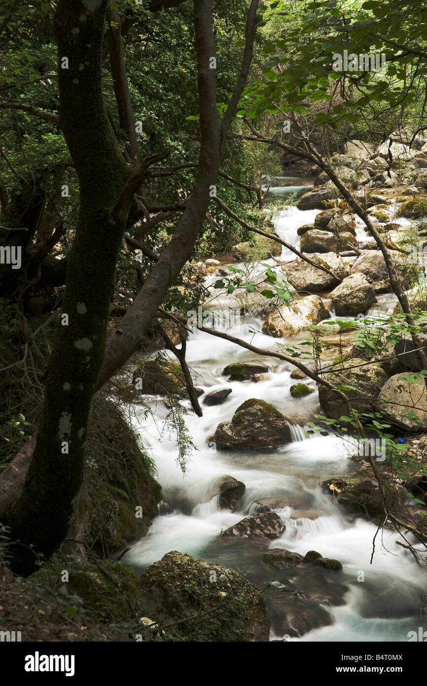 Rosa river Pollino national park Calabria Italy Stock Photo - Alamy