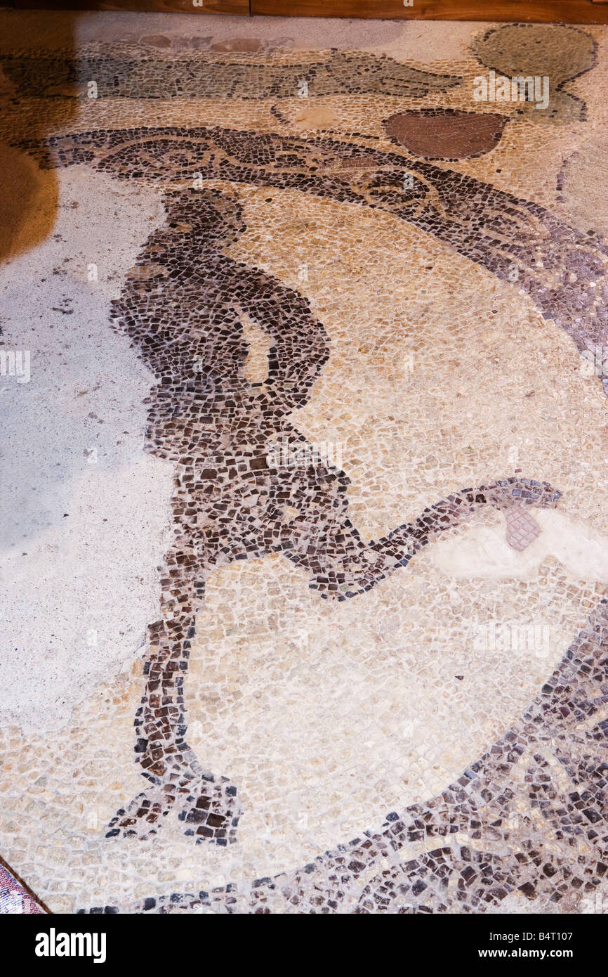 Mosaic floor Cathedral (XI) Rossano Calabria Italy Stock Photo - Alamy