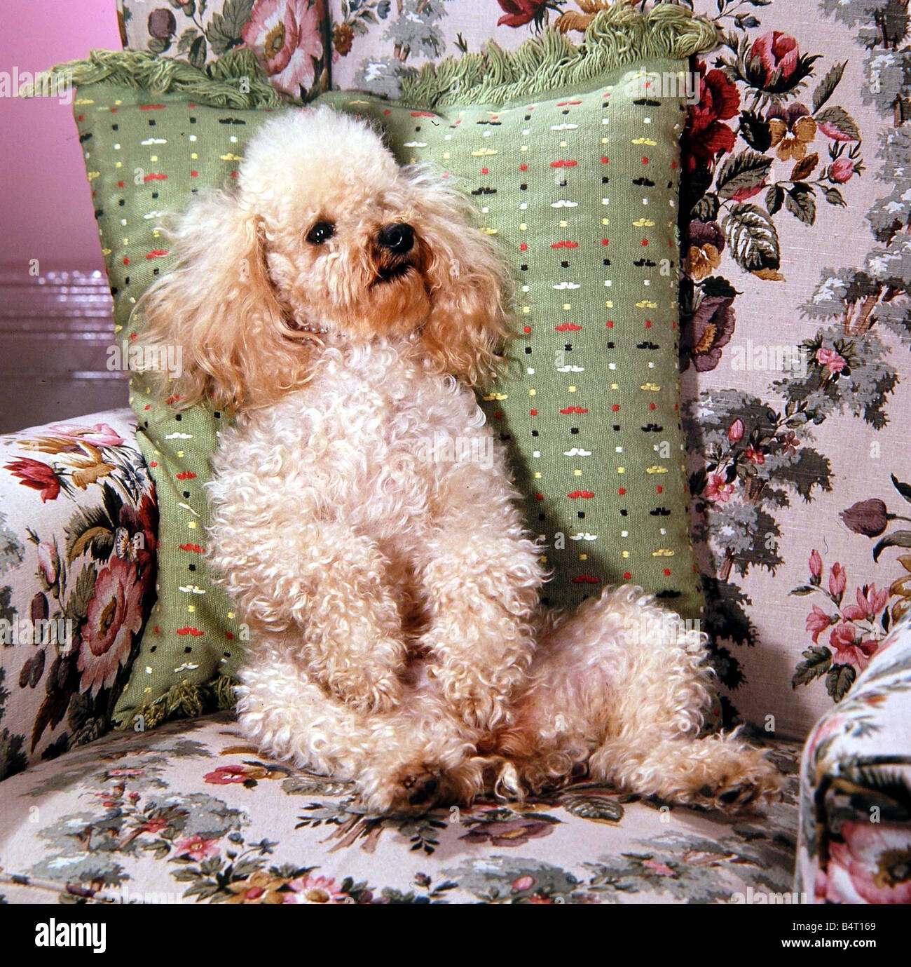Sat on a seat hi-res stock photography and images - Alamy