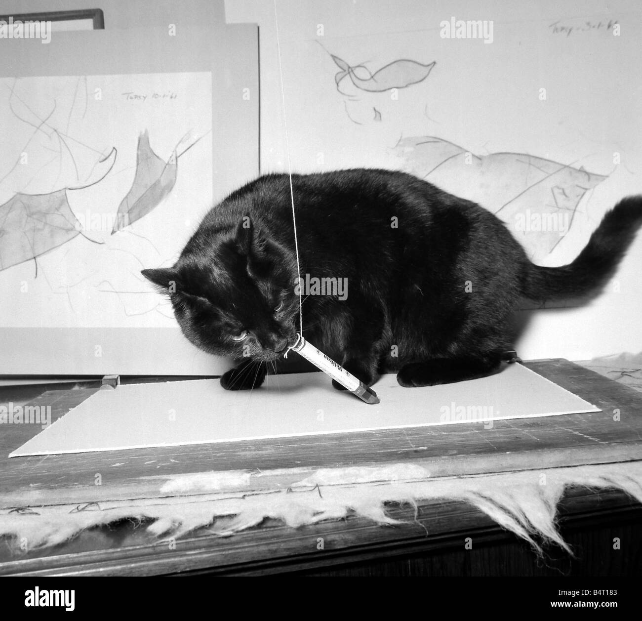 Cats art hi-res stock photography and images - Alamy