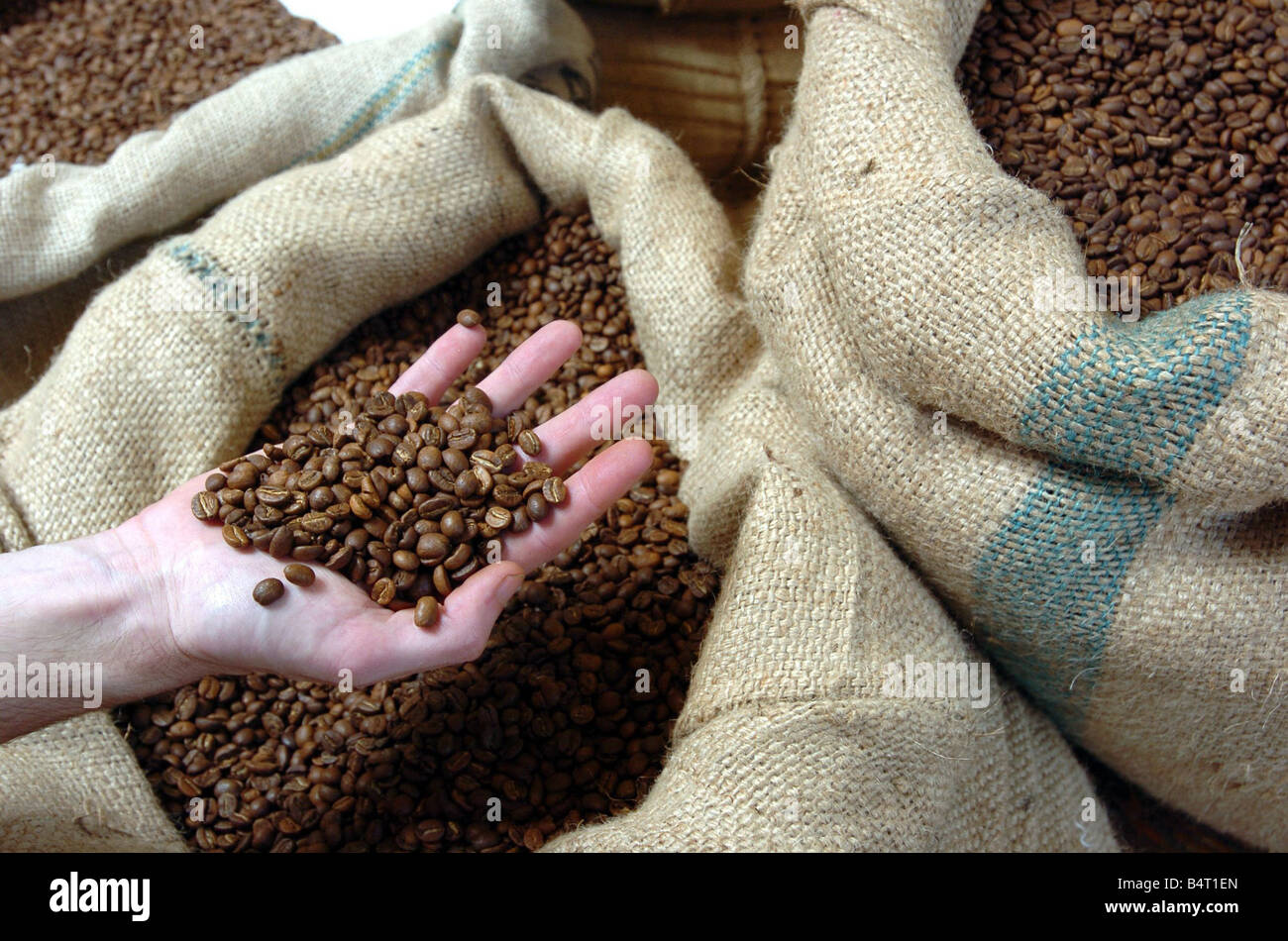 Some Columbian coffee beans at Costa Rica Coffee Co Pontcanna Cardiff ...