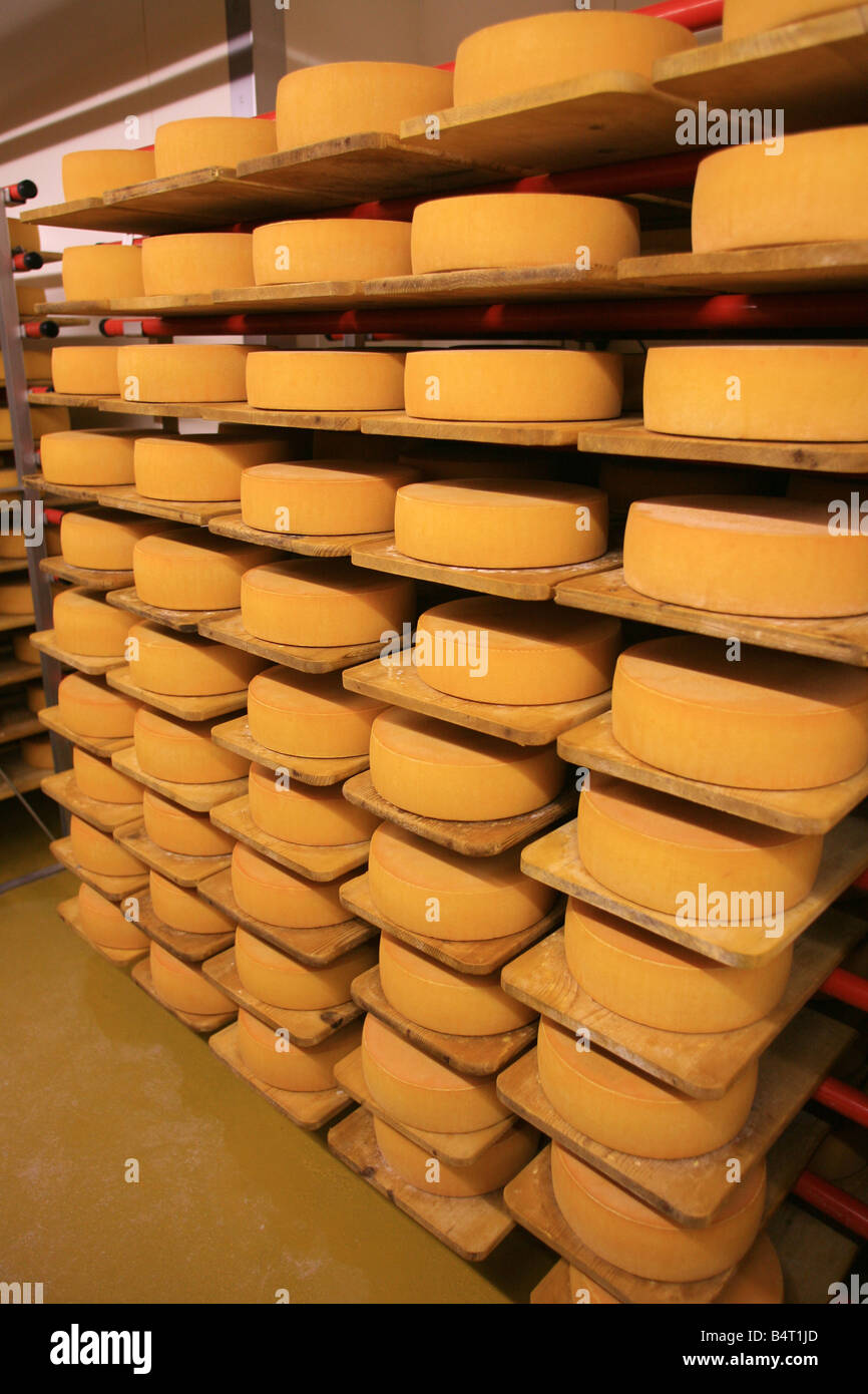 Mutschli cheese Bassa Engadina Switzerland Europe Stock Photo - Alamy