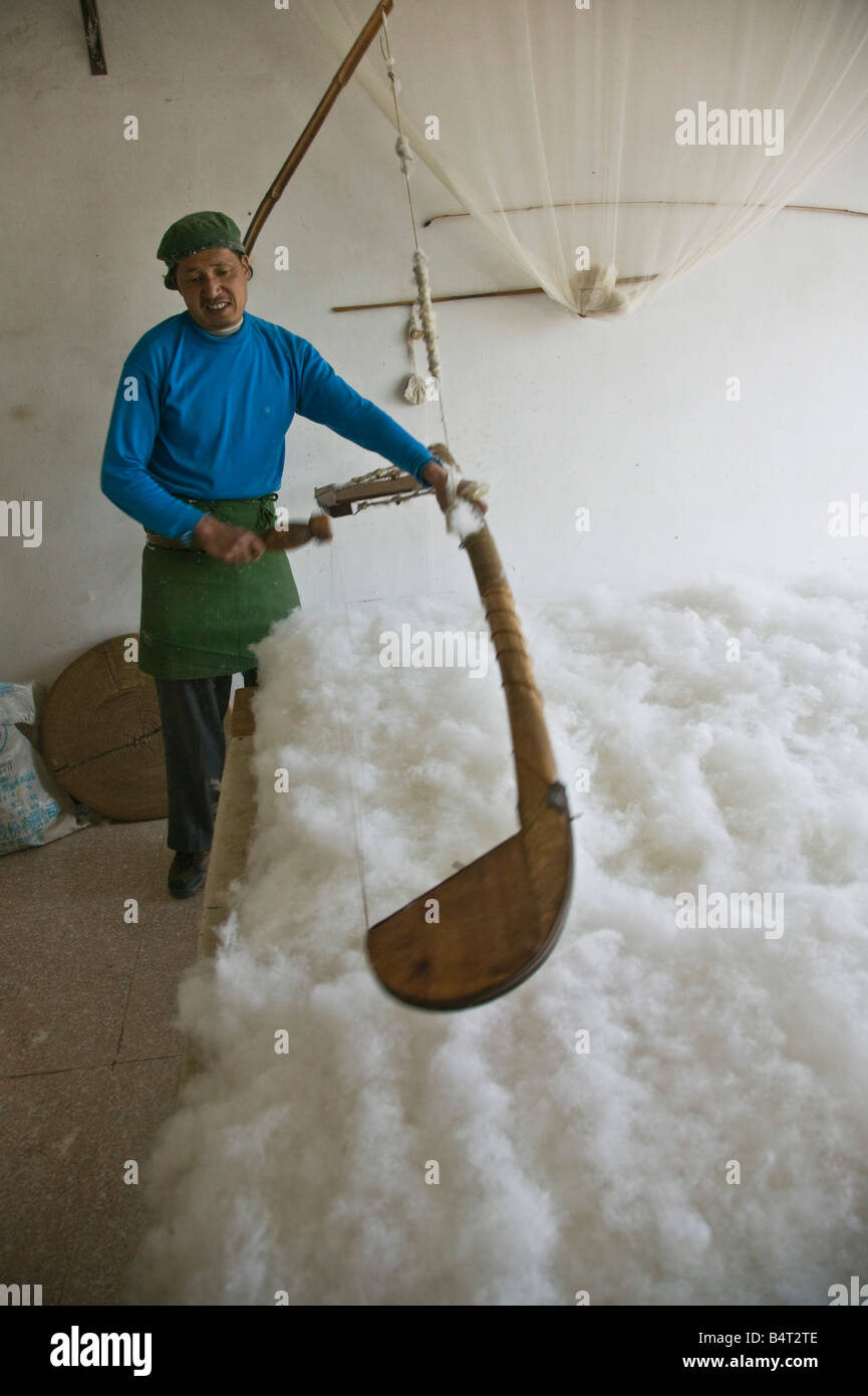 China, Yunnan Province, Erhai Hu Lake Area, Xizhou, cotton fluffer ...