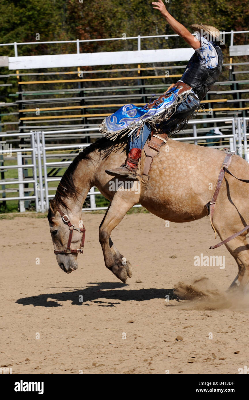 Youth saddle bronc riding hi-res stock photography and images - Alamy