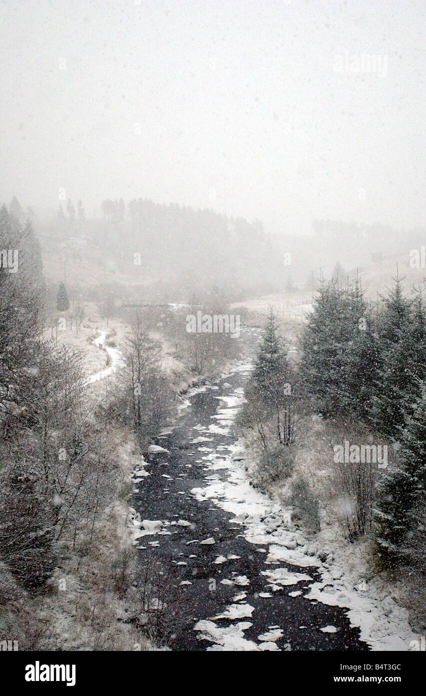 A snow fall in Kielder Stock Photo - Alamy