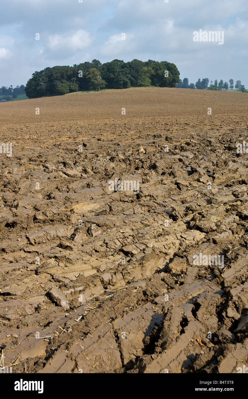 Field england hi-res stock photography and images - Alamy