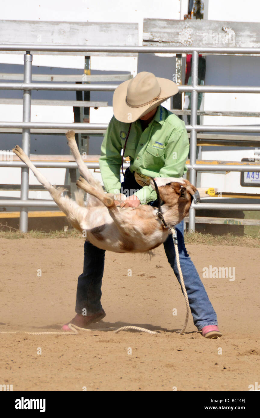 Goat tying hi-res stock photography and images - Alamy