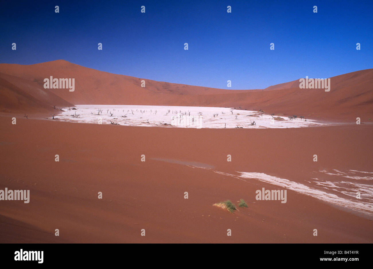 Dead Vlei salt pan near Sossusvlei, Namib Naukluft National Park ...