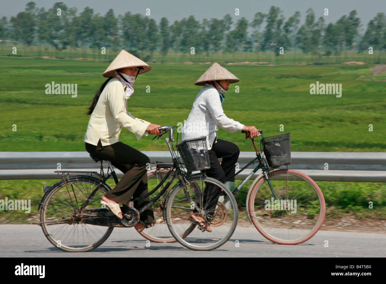 Rural traffic, Red River delta, northern Vietnam Stock Photo - Alamy