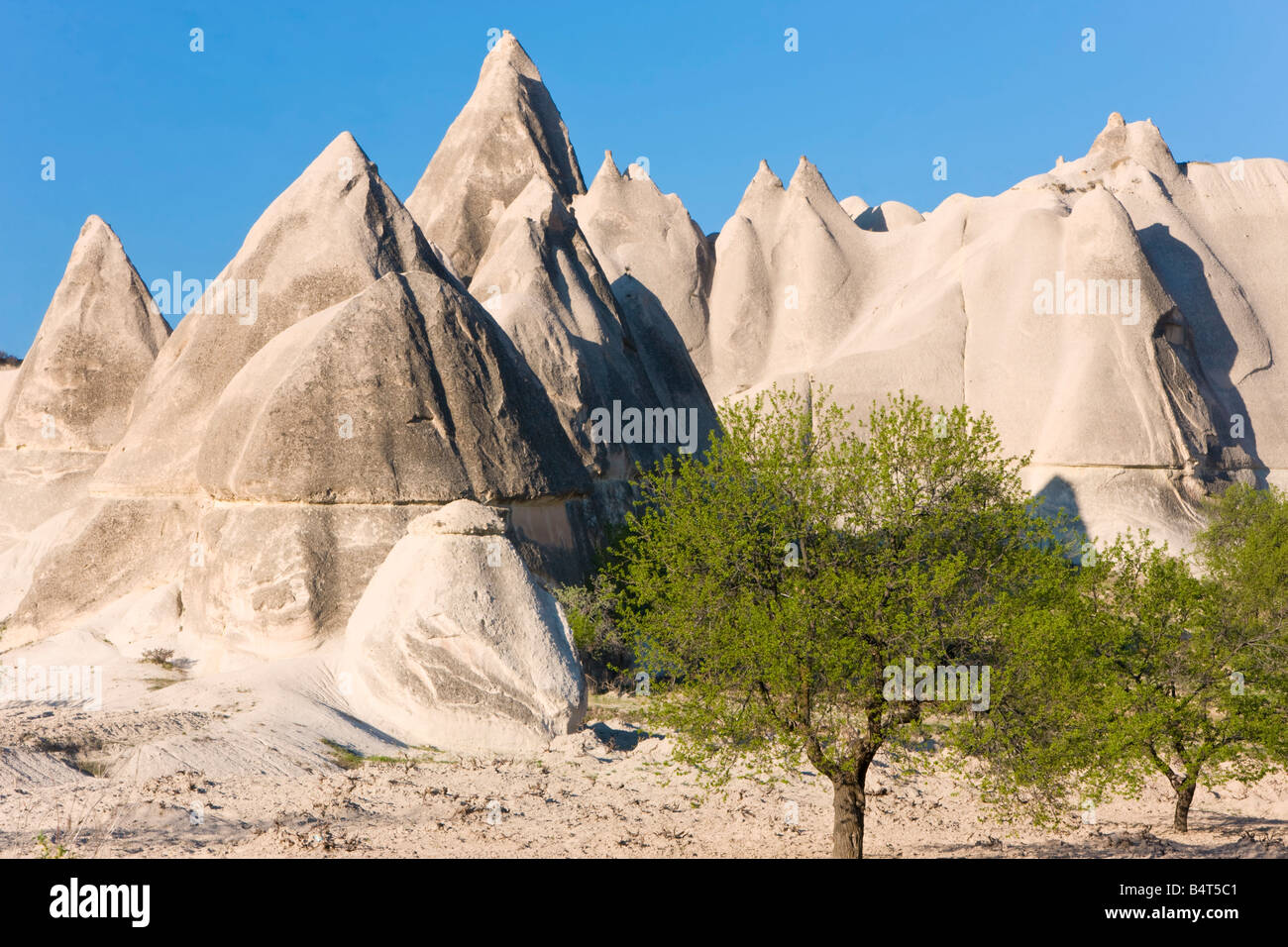 Phallic pillars (Fairy Chimneys), Love Valley, near Goreme, Cappadocia ...