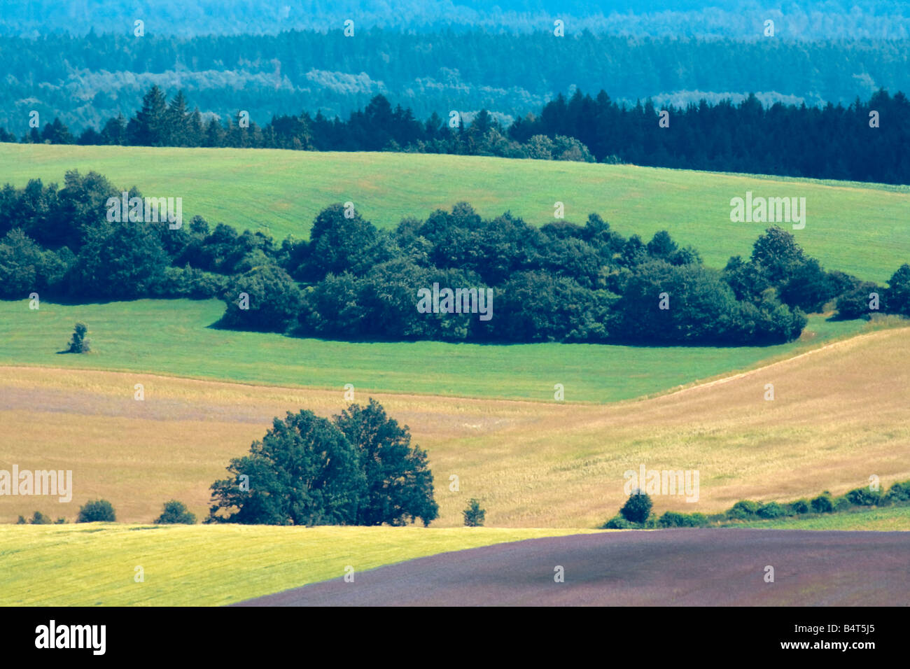 CZECH REPUBLIC SOUTHERN BOHEMIA LANDSCAPE WITH FIELDS AND FOREST Stock ...