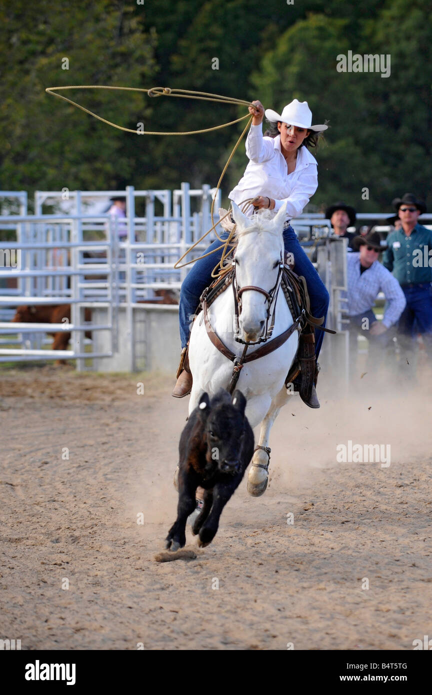 Team roping rodeo competition hi-res stock photography and images - Alamy